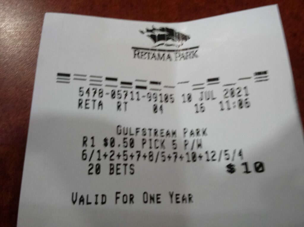 Saratoga Picks - Racing Dudes