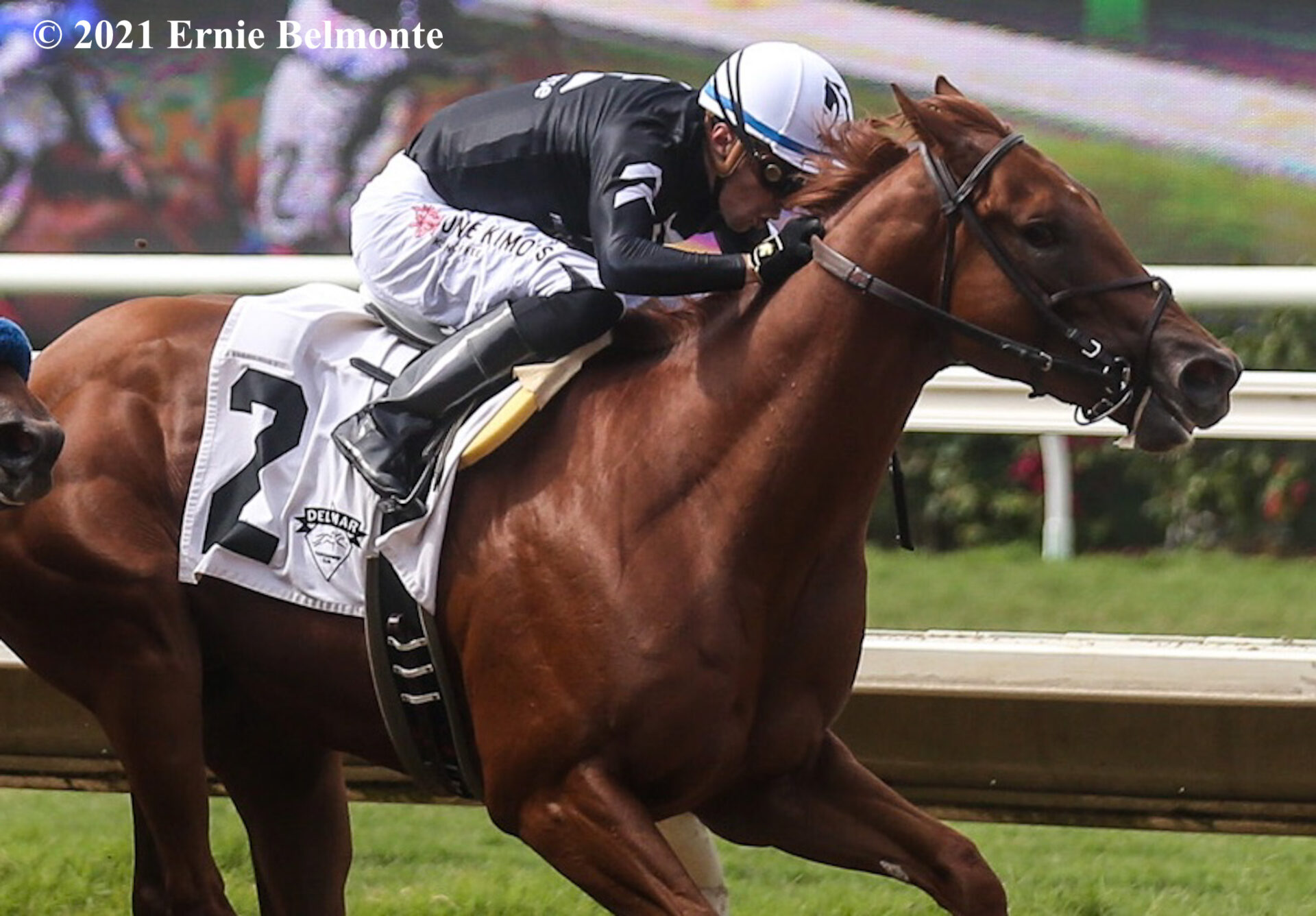 Speakeasy Preview: Forbidden Kingdom Swaps Surfaces - Racing Dudes