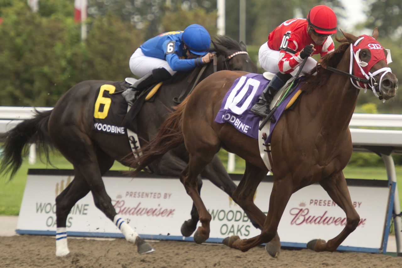 Canadian Triple Tiara Series Concludes With Wonder Where - Racing Dudes