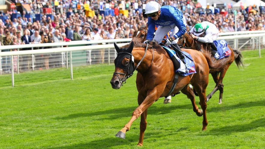 Yibir Eyes Jockey Club Derby After Great Voltigeur Win - Racing Dudes
