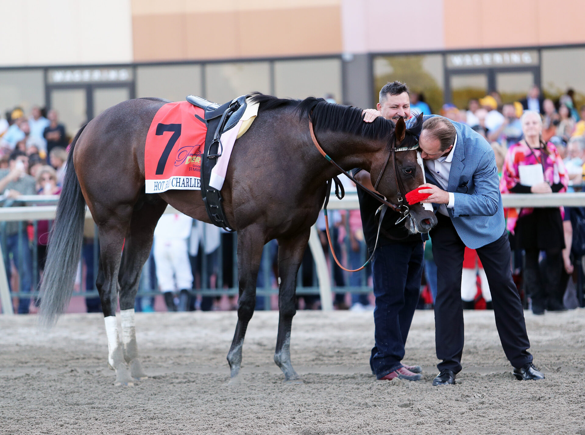 The X-Factor: How Trainer Form Impacts a Maiden Race Card - Racing Dudes