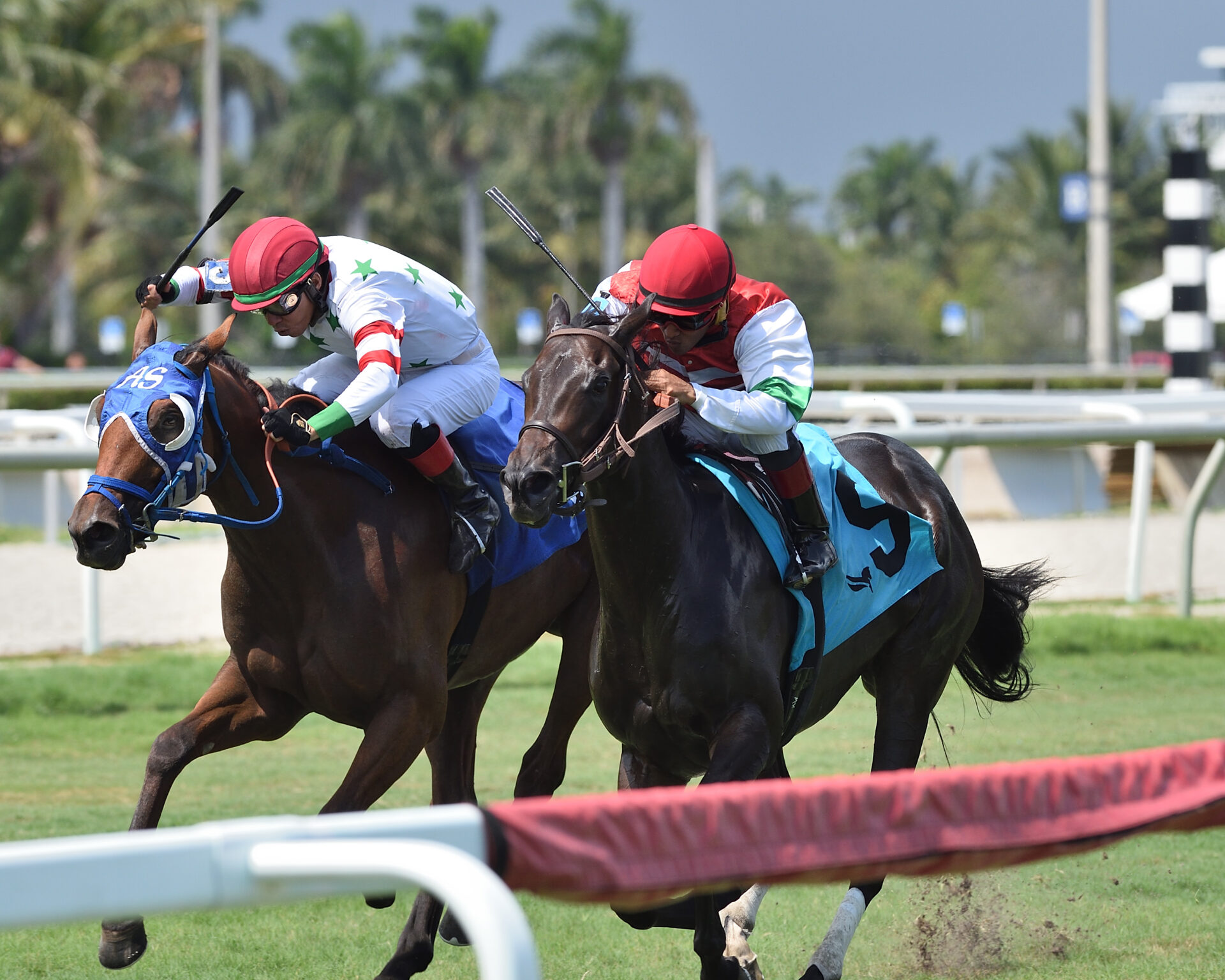 Last Leaf Handling Turf, Defeating Boys Headlines Saturday's Gulfstream ...