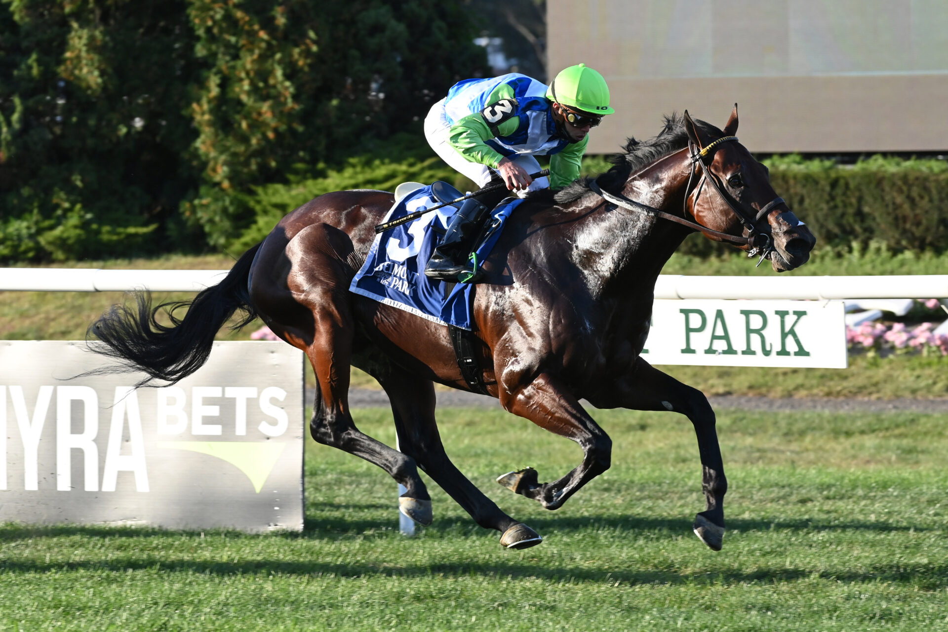 2022 Silks Run Stakes Preview, FREE Picks, & Longshots | Holy Speed ...