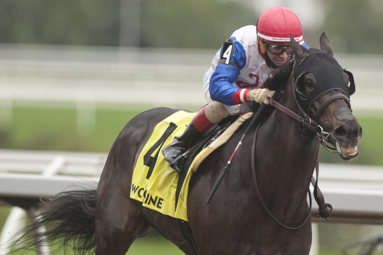 Not So Quiet Repeats In Overskate - Racing Dudes