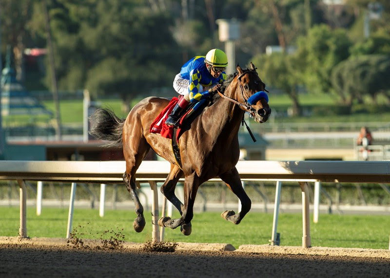 2022 Robert B. Lewis Stakes Replay And Recap | Messier Ices Kentucky ...