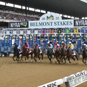 Horse Betting: Horse Racing Free Picks | Racing Dudes