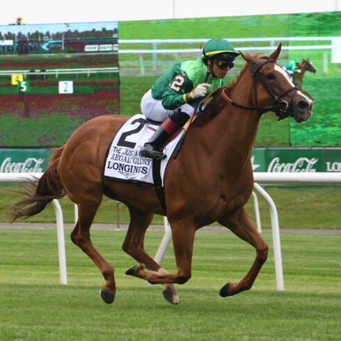 Horse Racing Picks, Entries, News & Results | Racing Dudes