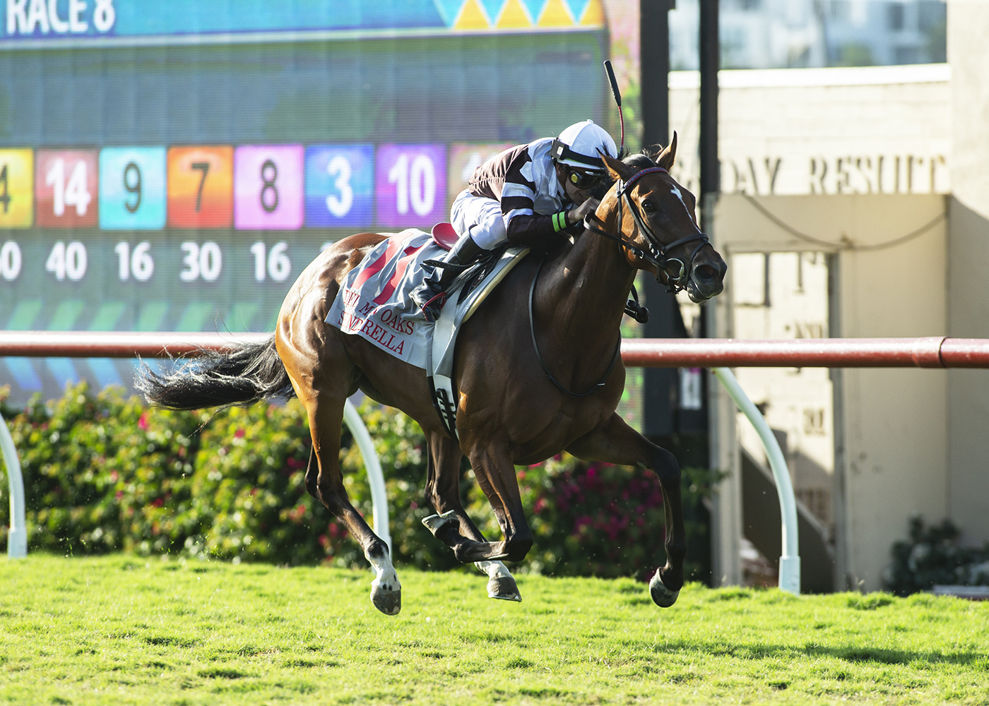Spendarella Much The Best In American Racing Return | 2022 Del Mar Oaks ...