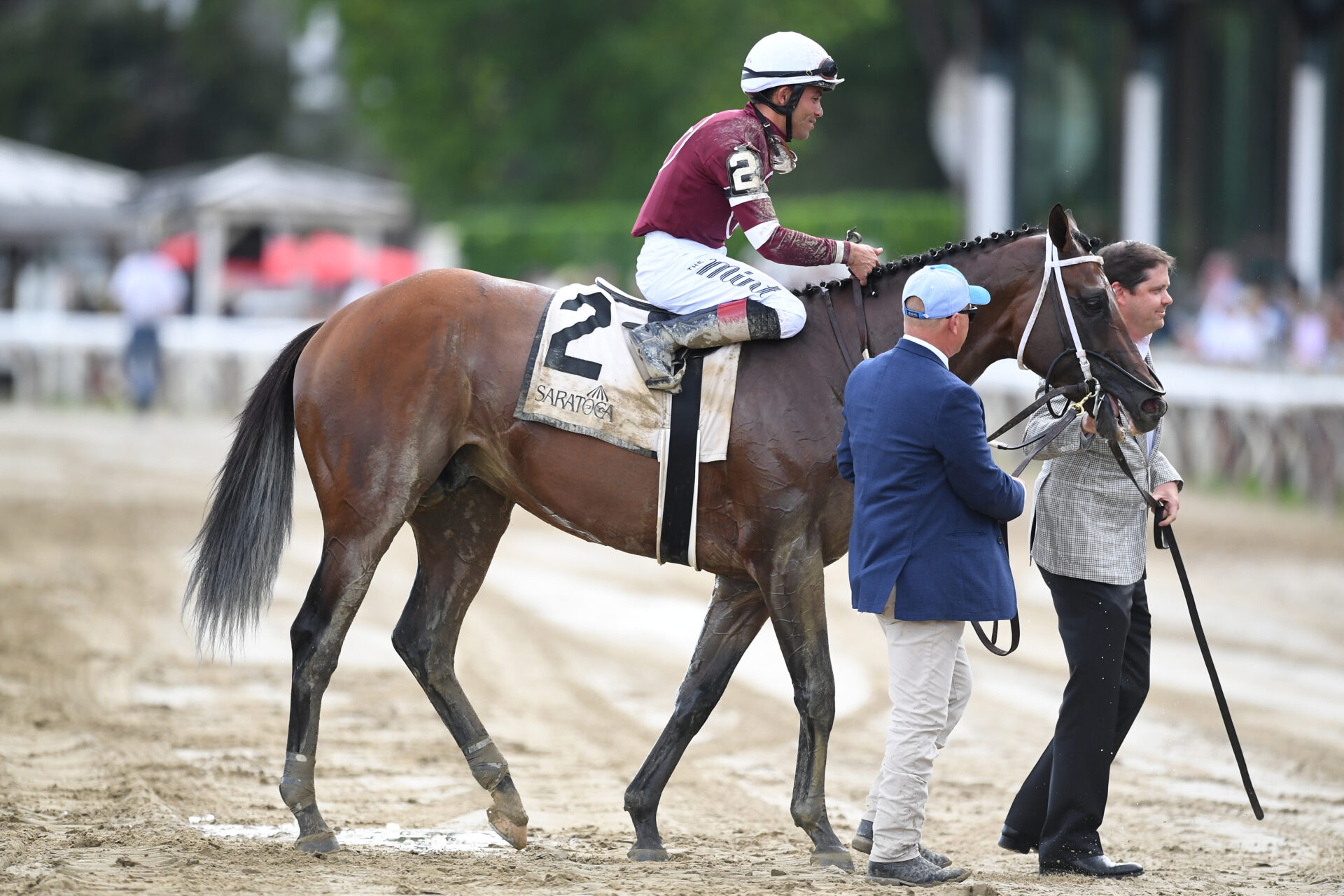 Epicenter Perched Wearily Atop Throne At Saratoga | 2022 Travers Stakes ...