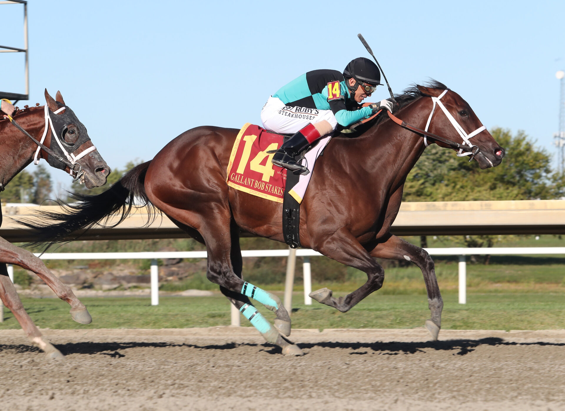 2022 Steel Valley Sprint Stakes Preview & FREE Picks | Scaramouche ...