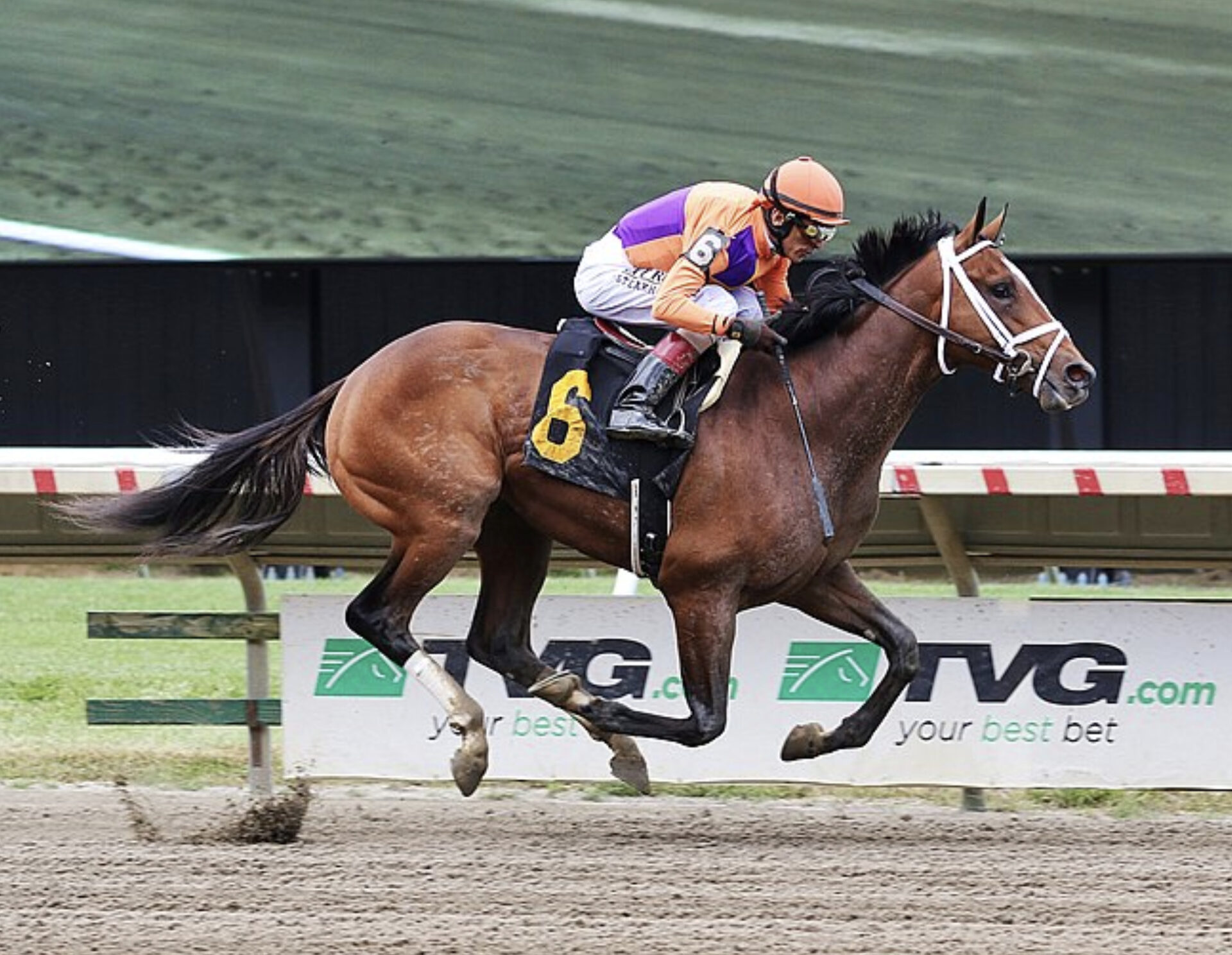 Major Dude Makes Turf Debut; World Championships The Goal | 2022 ...