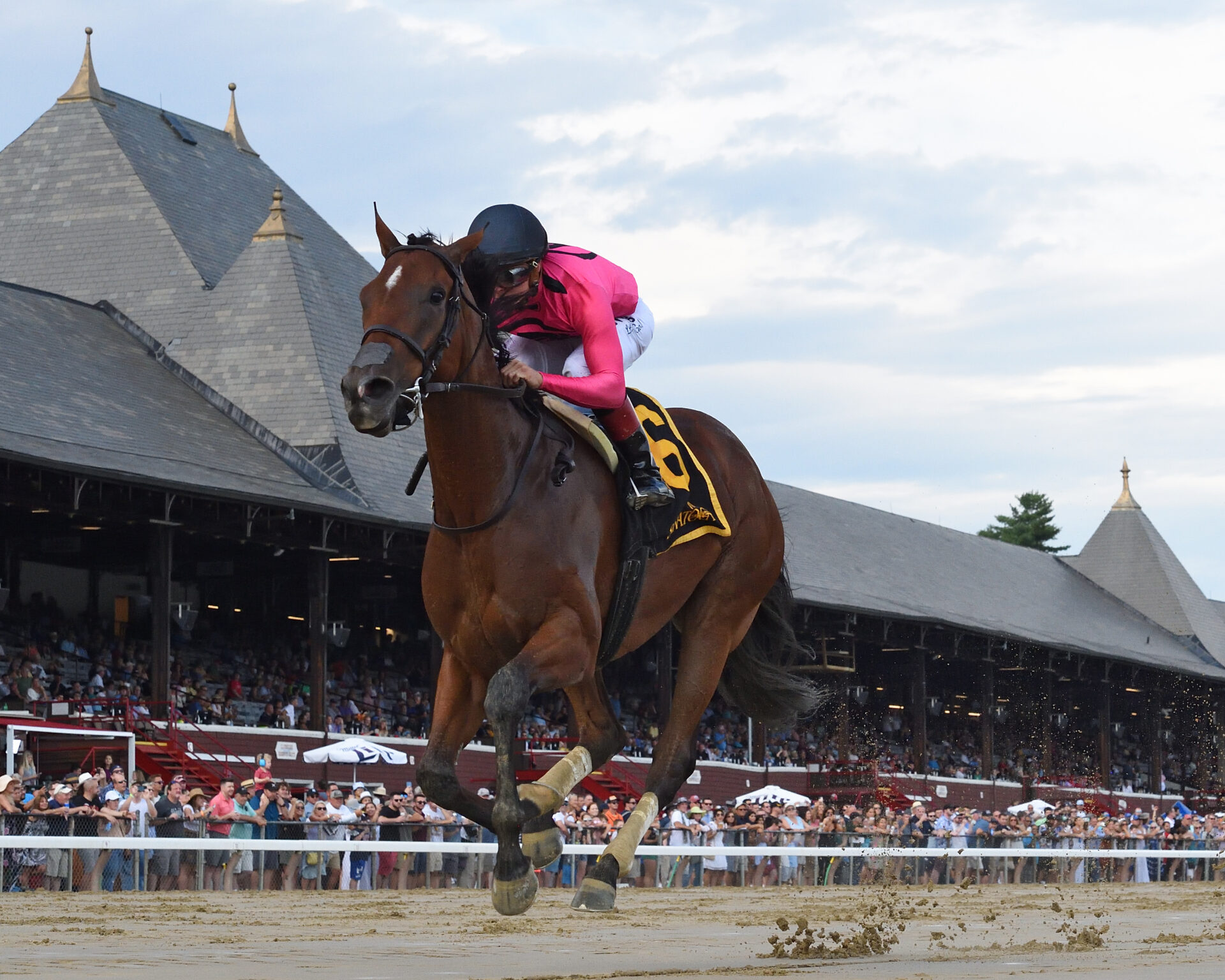 Make Mischief Makes Turf Debut Vs NY-Breds | 2022 John Hettinger Stakes ...