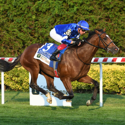 Horse Racing Entries