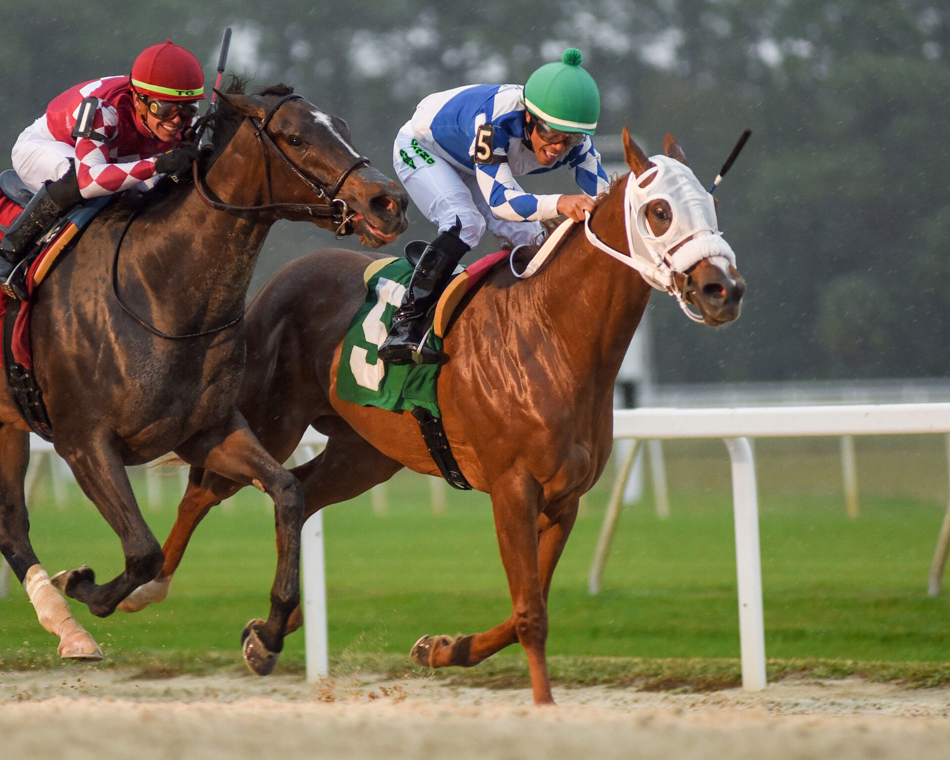 2023 Suncoast Stakes Replay | Dreaming Of Snow Upsets Wonder Wheel ...