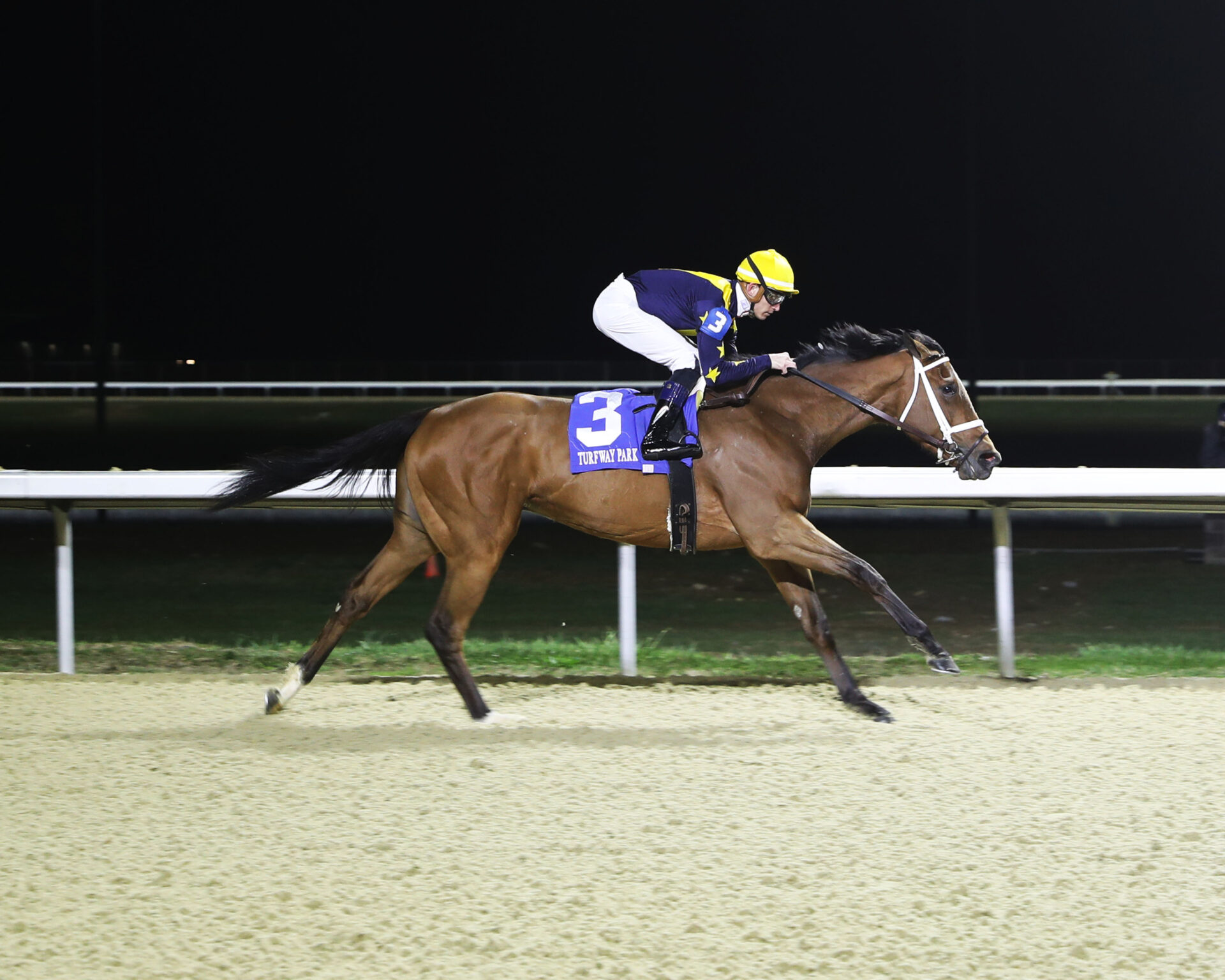 2023 Cincinnati Trophy Stakes Replay | Botanical Blossoming Into ...