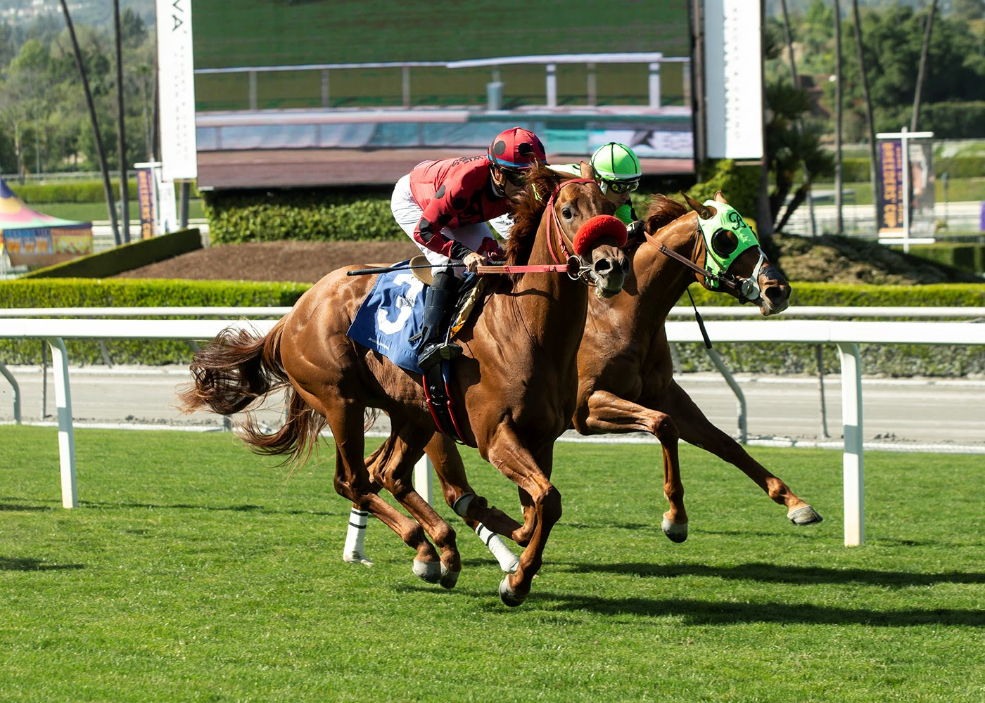 Santa Anita Park Picks | Sensational Star Stakes 2024