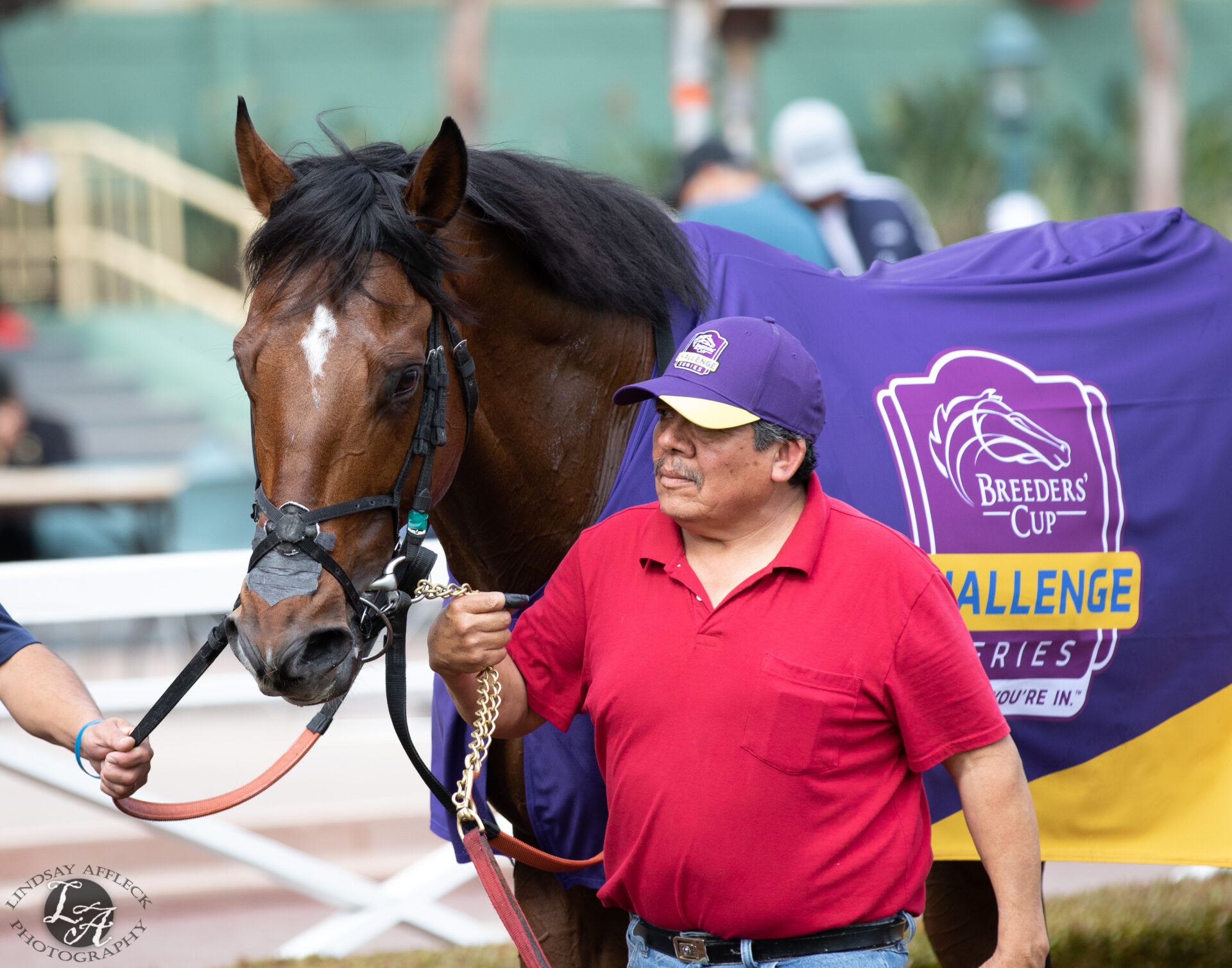 2023 Shoemaker Mile Stakes Replay | Exaulted Wins Berth To Breeders ...