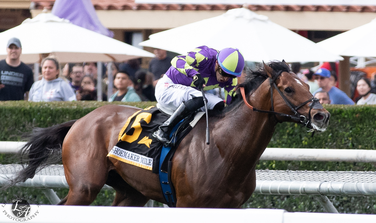 2023 Shoemaker Mile Stakes Replay | Exaulted Wins Berth To Breeders ...