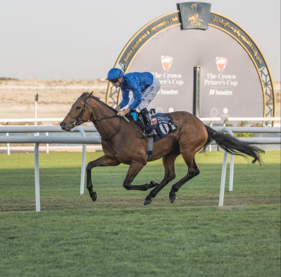2023 Man O' War Stakes Preview & FREE Picks | Warren Point Invades ...