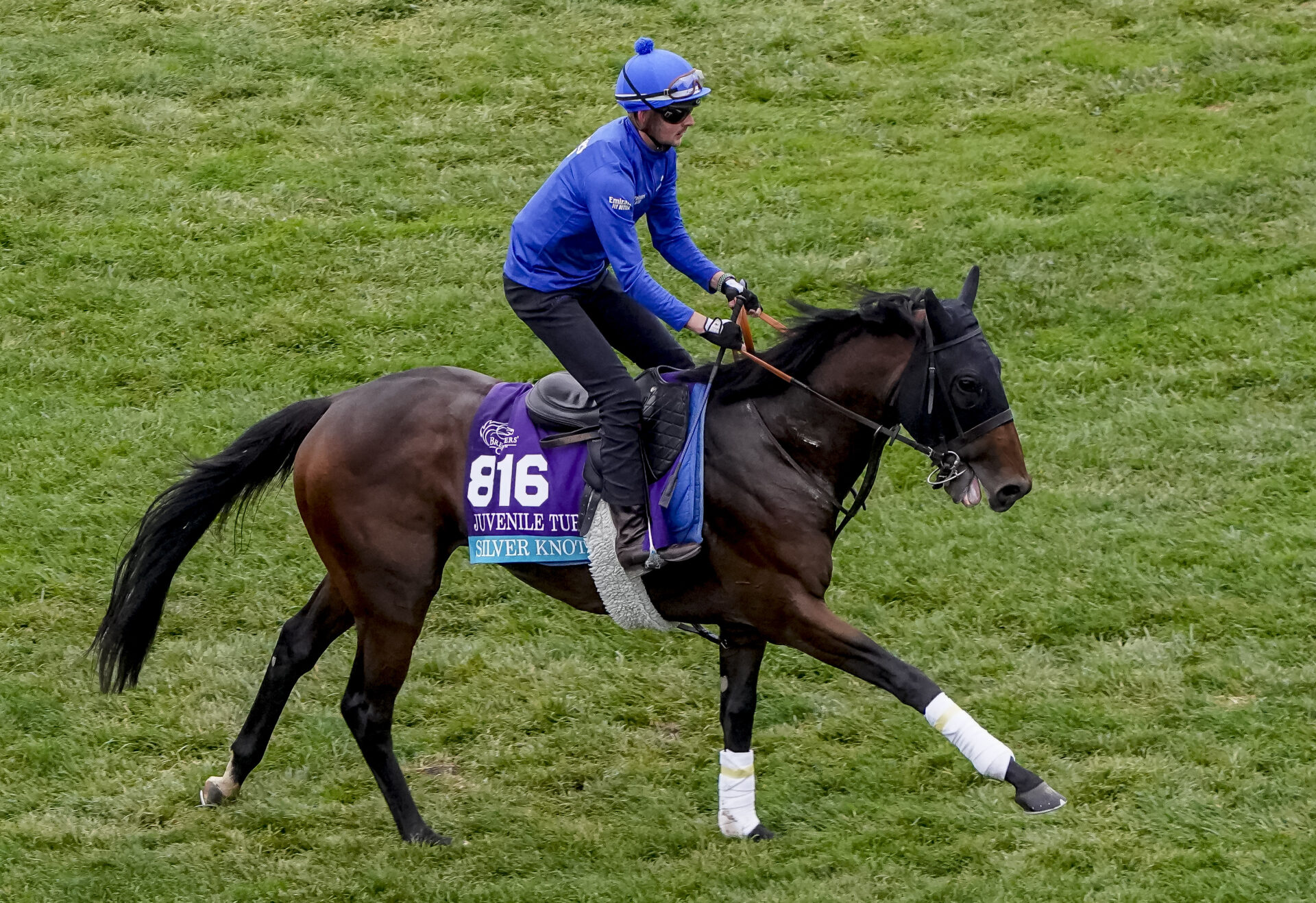 2023 Pennine Ridge Stakes Preview & FREE Picks | Silver Knott Could Put ...