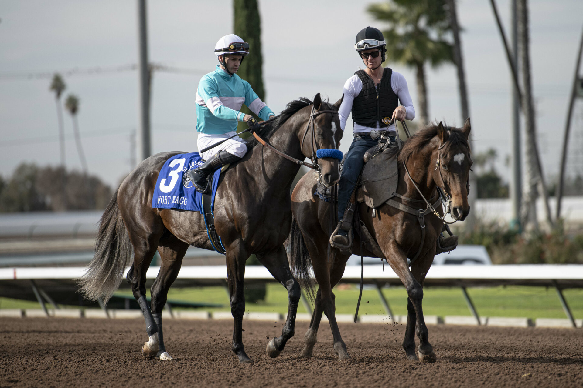 2023 Dwyer Stakes Preview & FREE Picks | Fort Bragg Resurfaces At ...