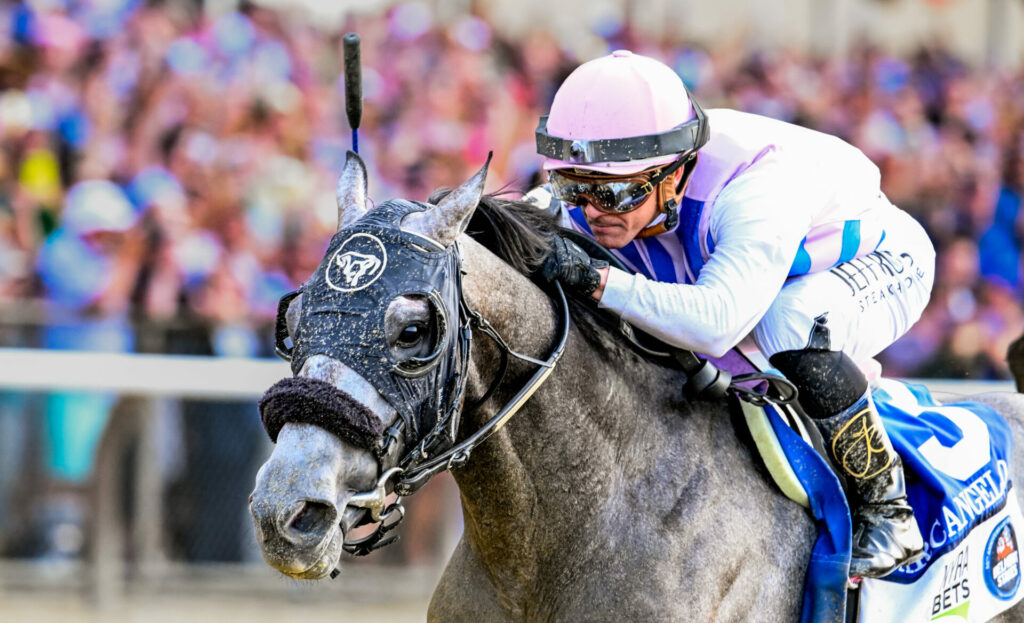 2023 Kentucky Derby Picks, Betting, Contenders and Results