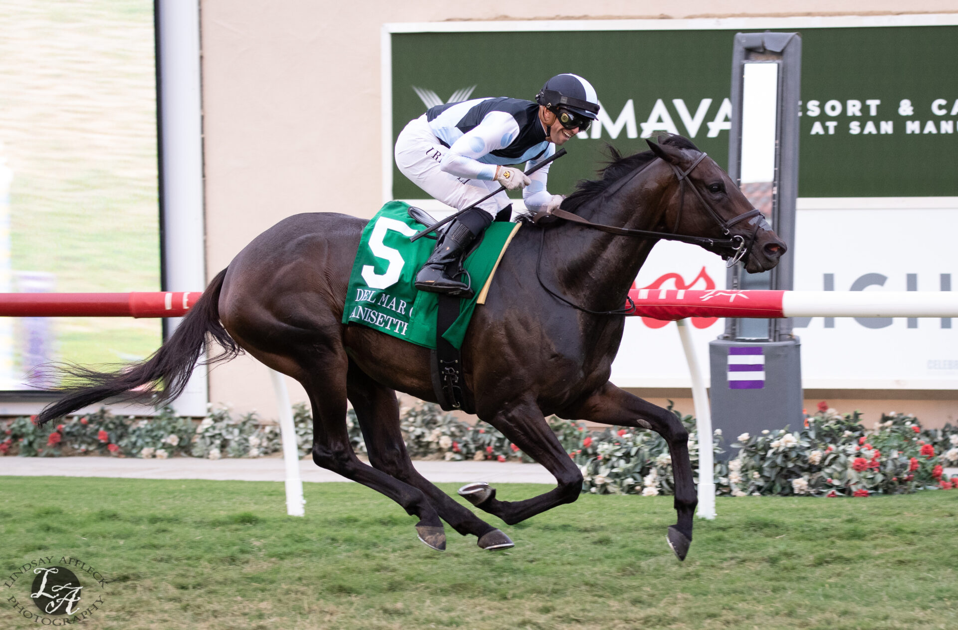 Del Mar Picks | Yellow Ribbon Handicap 2024