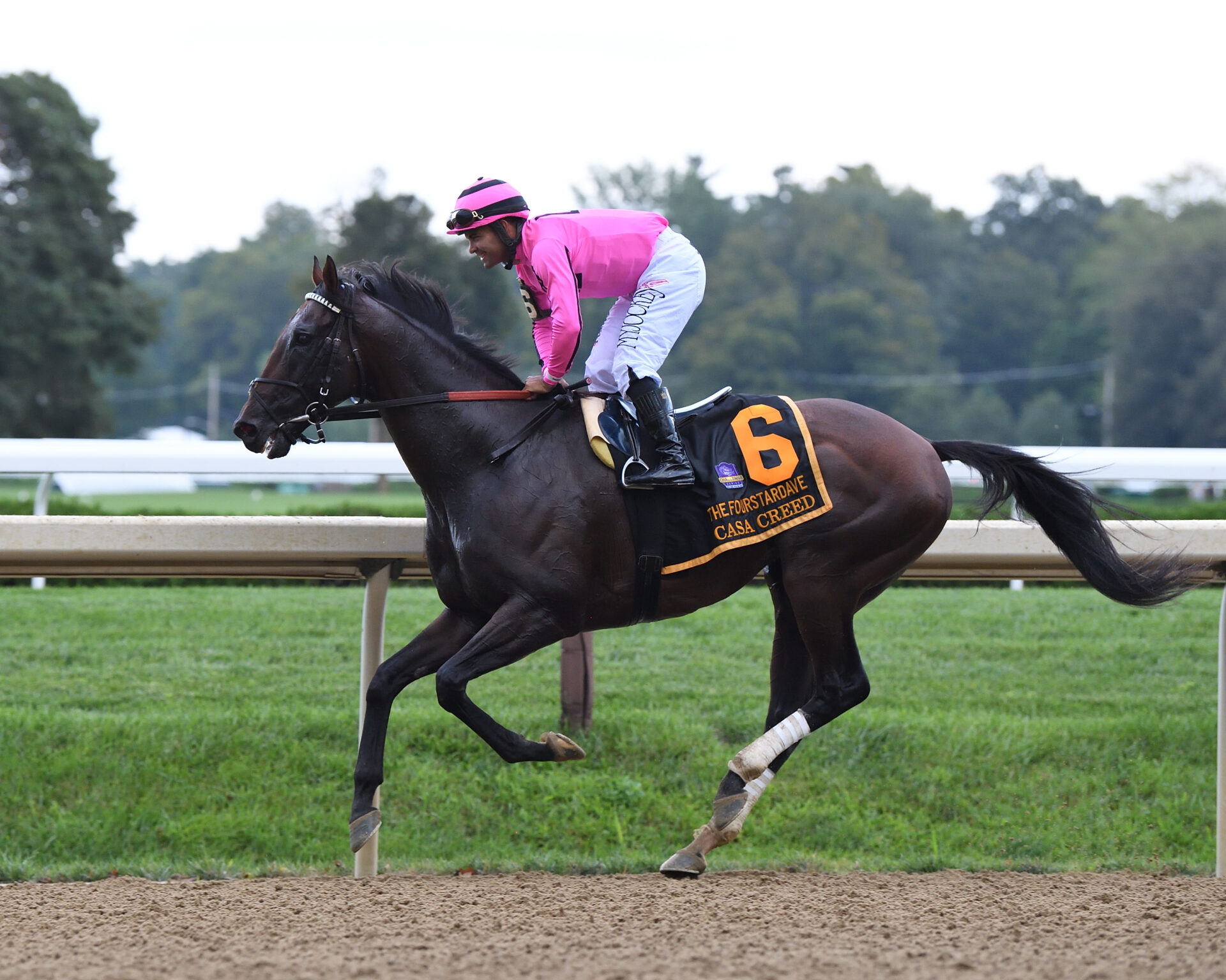 Top 5 Best Horses Right Now By Division 08/14/23: Casa Creed Dazzles At ...