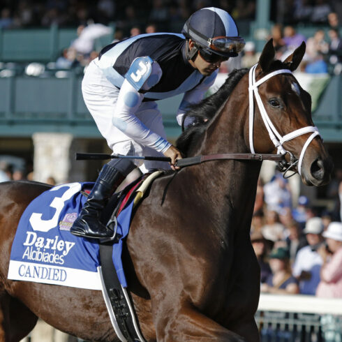 Horse Racing Entries