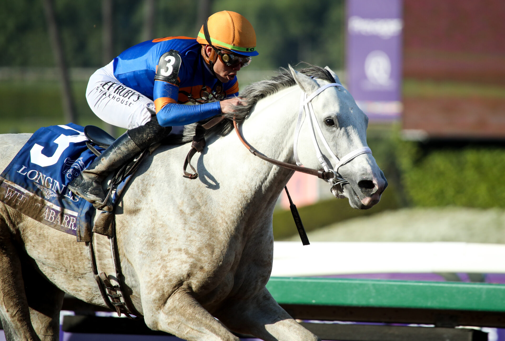 Breeders' Cup Replay | 2023 Classic