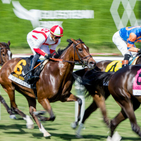 Horse Racing Wagering Calculator - Racing Dudes