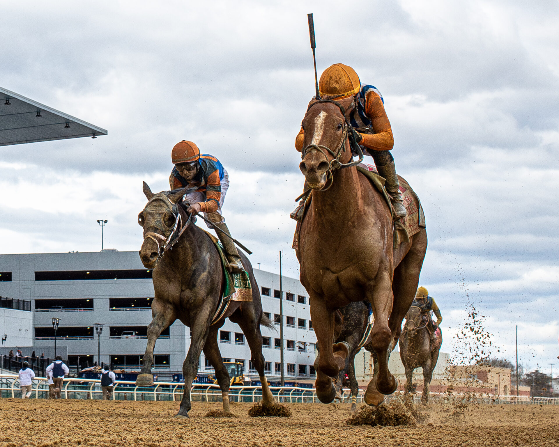 Society Man | Kentucky Derby 2024 Contender Profile