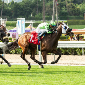 Horse Racing Picks, Entries, News & Results | Racing Dudes