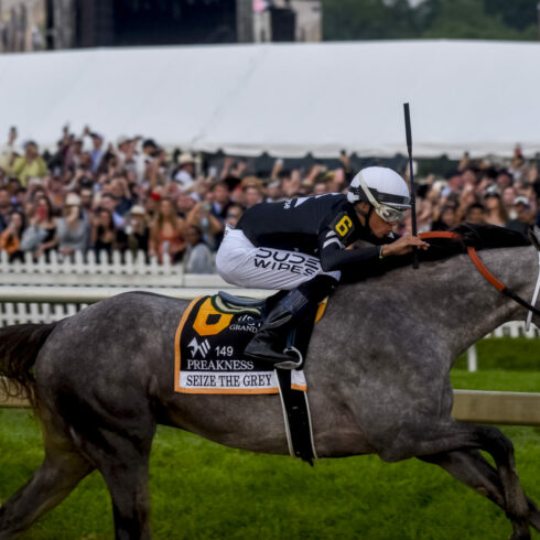 Horse Racing Picks, Entries, News & Results | Racing Dudes