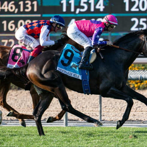Horse Racing Picks, Entries, News & Results | Racing Dudes