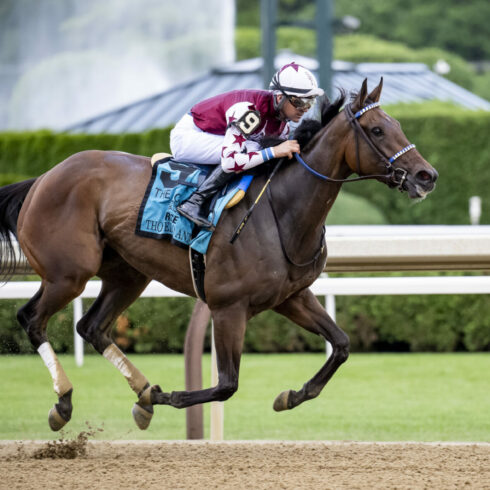 Horse Racing Picks, Entries, News & Results | Racing Dudes