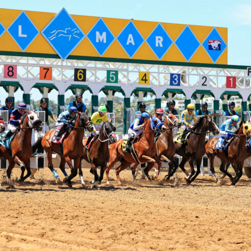 Horse Racing Picks, Entries, News & Results | Racing Dudes