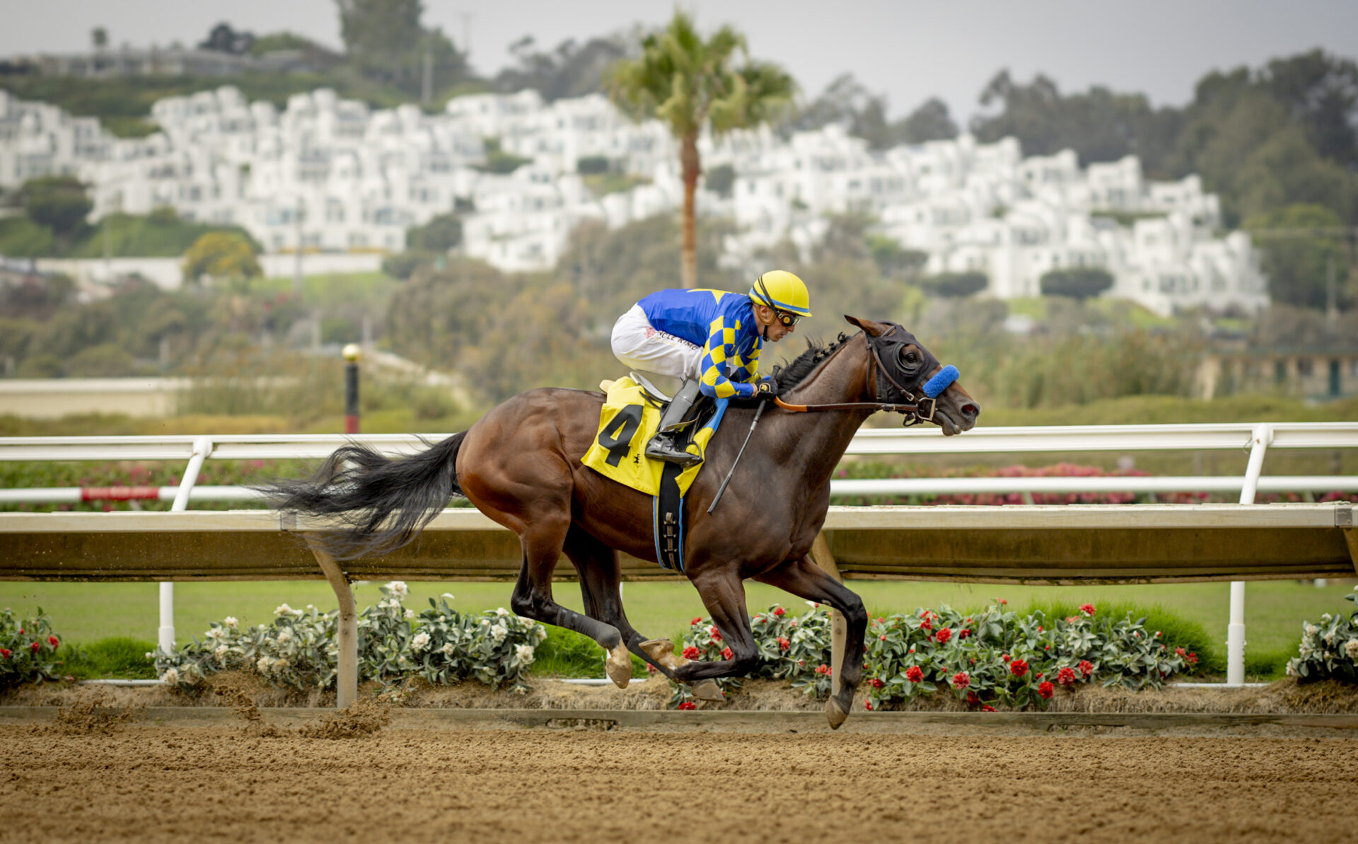 Virginia Derby Picks and Preview 2025 | Kentucky Derby Prep Race ...