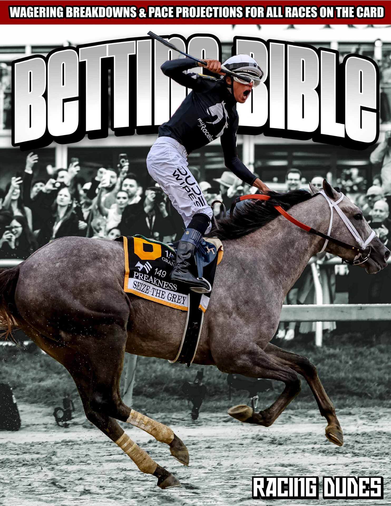Jim Dandy Stakes 2024 Betting Bible | Get Saratoga Picks NOW!