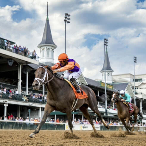 Horse Racing Picks, Entries, News & Results | Racing Dudes