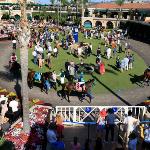 Horse Racing Picks, Entries, News & Results | Racing Dudes