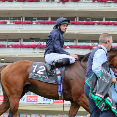 Horse Racing Picks, Entries, News & Results | Racing Dudes