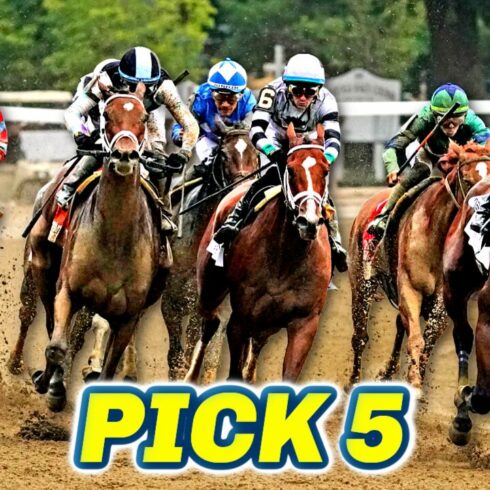 Free Premium Picks - Racing Dudes