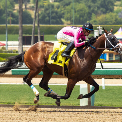 Horse Racing Picks, Entries, News & Results | Racing Dudes