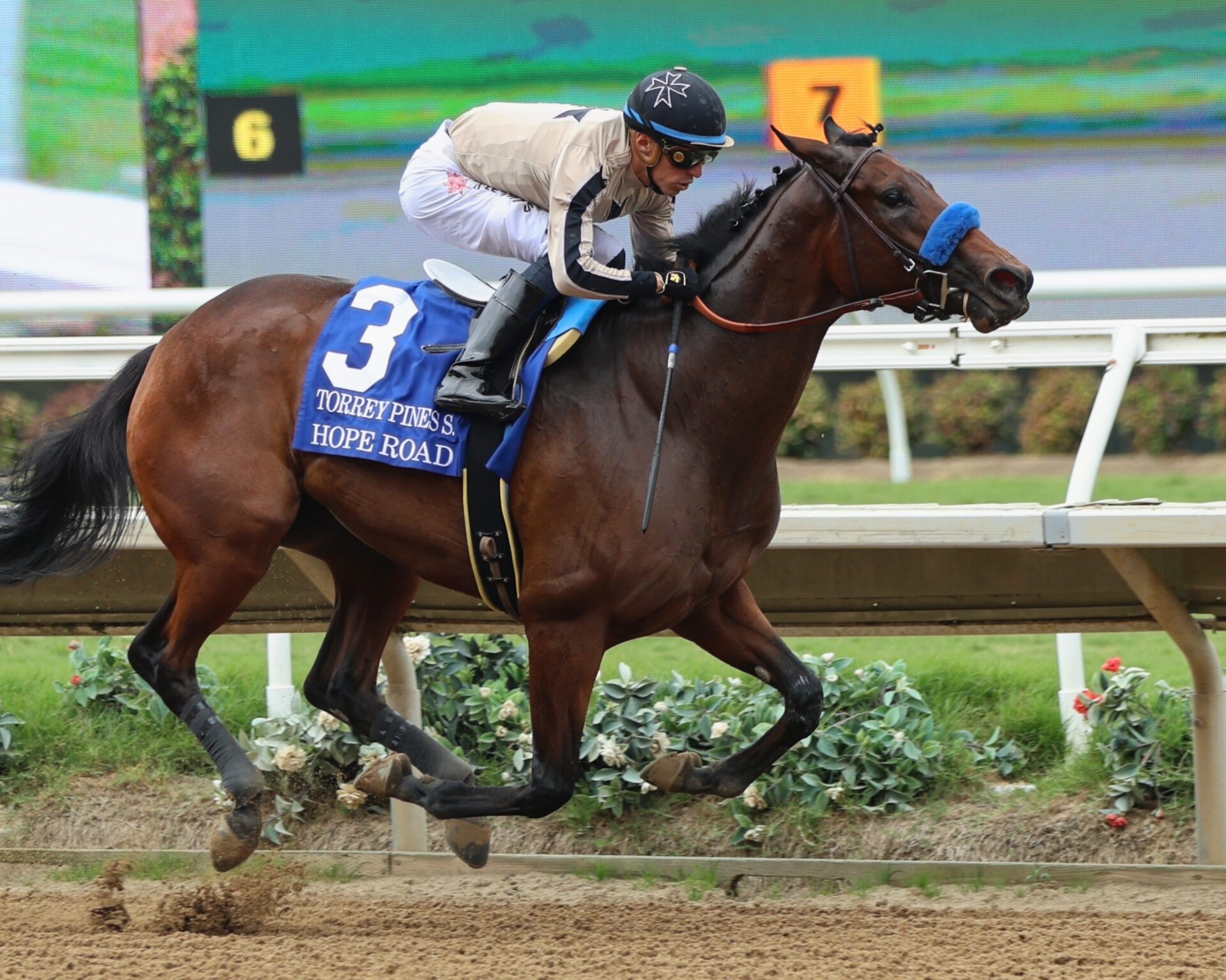 La Brea Stakes Picks and Preview 2024 - Racing Dudes