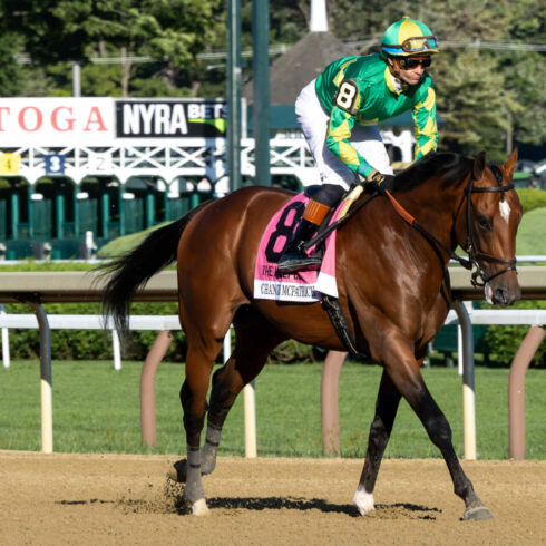 Horse Racing Picks, Entries, News & Results | Racing Dudes