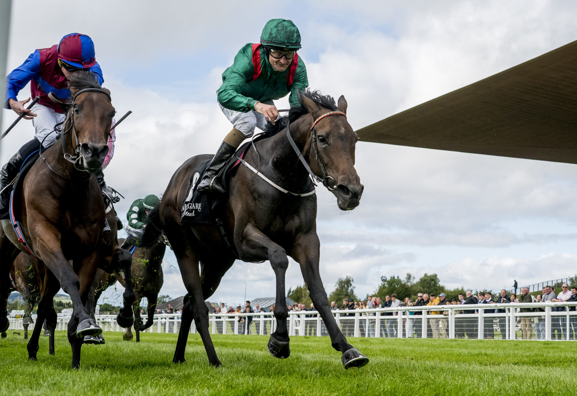 The Growing Shift Toward Specialized Markets in Horse Racing - Racing Dudes