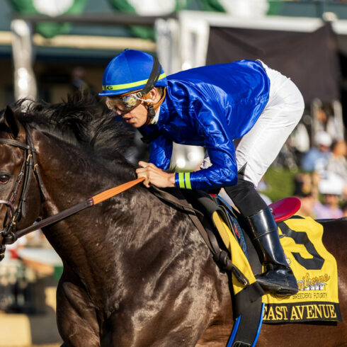 Horse Racing Picks, Entries, News & Results | Racing Dudes