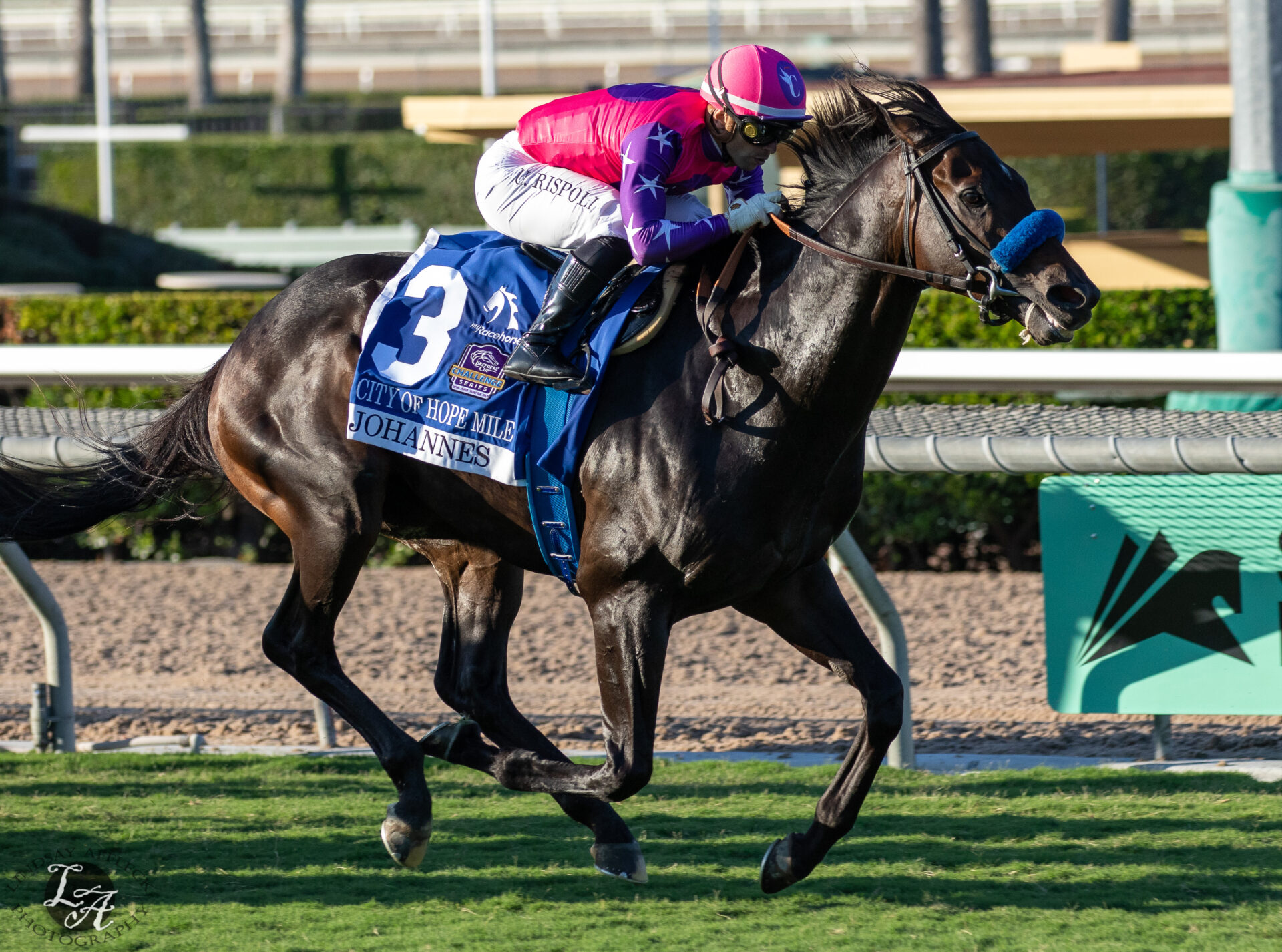 Fourstardave Stakes 2025 Picks and Preview | Johannes Ships East for ...