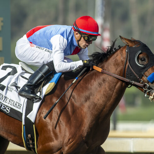 Horse Betting: Horse Racing Free Picks | Racing Dudes